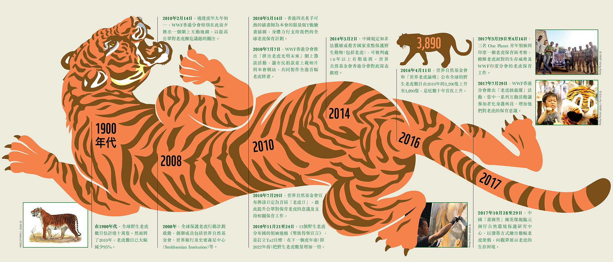 Grafico De Evolucao Do Tigre