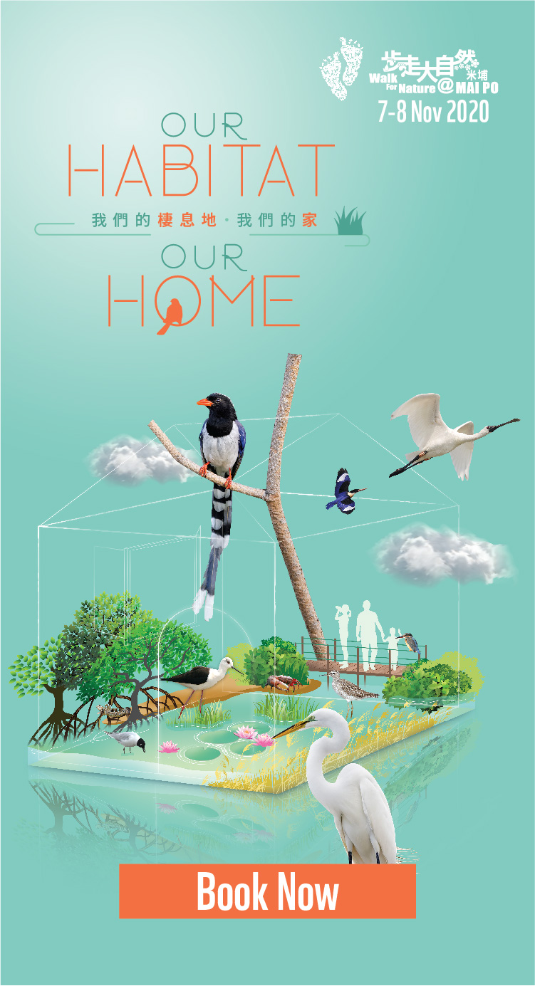 WWF-Hong Kong | WWF Hong Kong