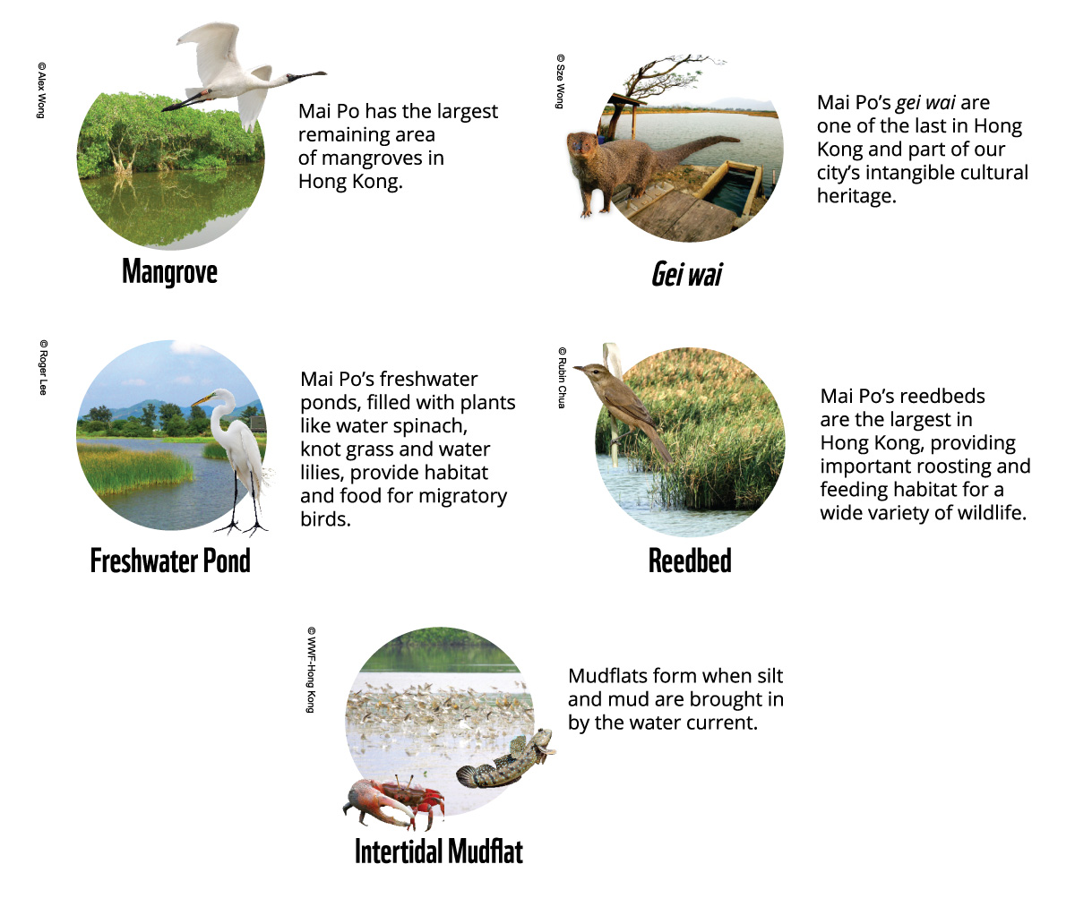 Event Map | WWF Hong Kong