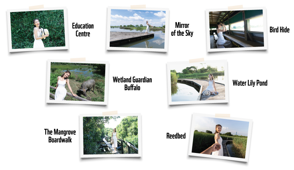 Event Map | WWF Hong Kong